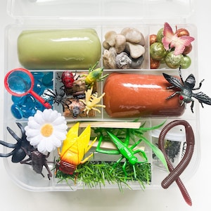 Play Dough Kit, Bugs Play Dough Kit, Insect Kit, Sensory Kit, Insect ...