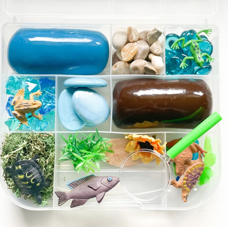 Play Dough Kit Pond Play Dough Kit Dough Kit Play Kit - Etsy
