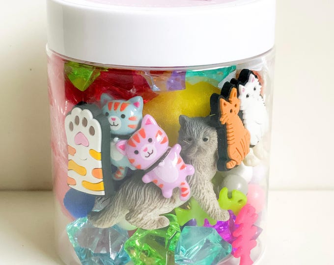 Play Dough Kit, Cat Play Dough Jar, Kids Gift, Kitty Play Dough ...