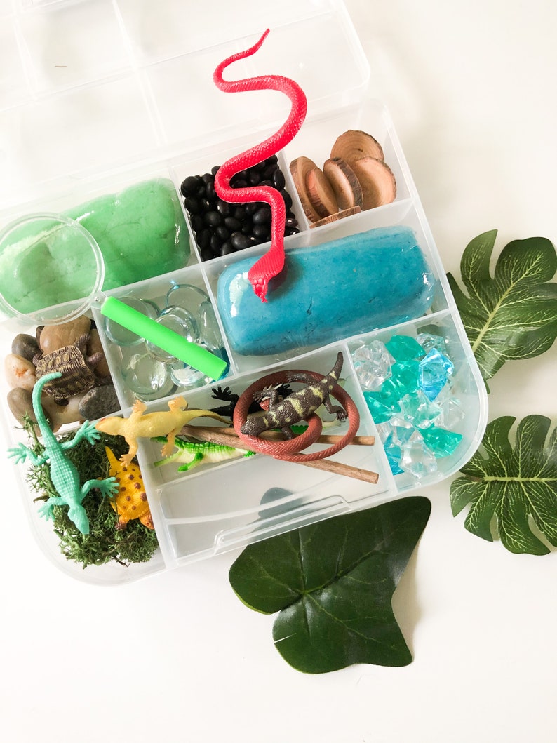 Play Dough Kit Reptile Play Dough Kit Dough Kit Play Kit | Etsy