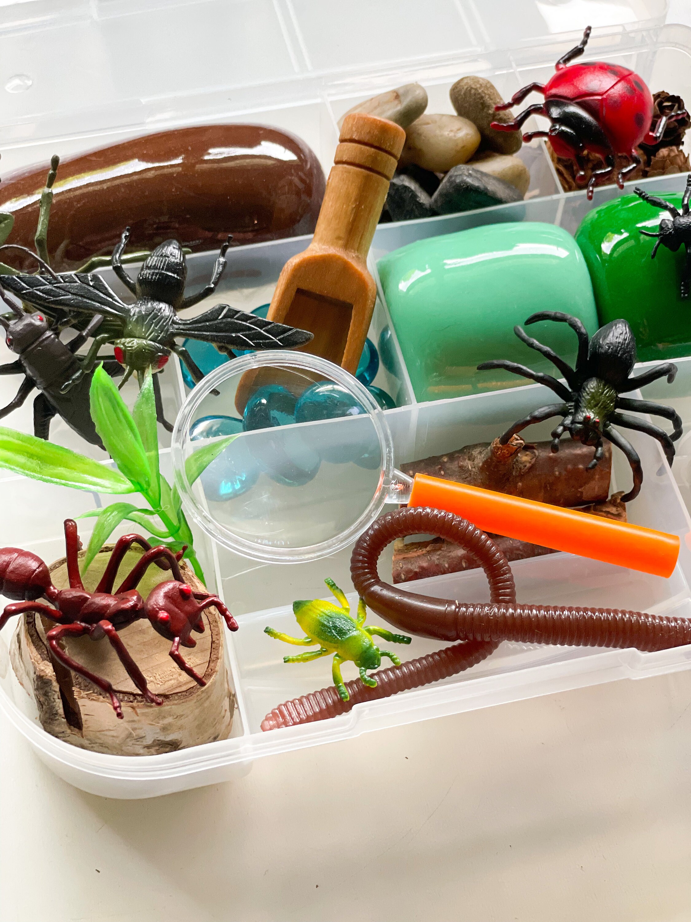 Play Dough Kit Bugs Play Dough Kit Insect Kit Sensory Kit - Etsy