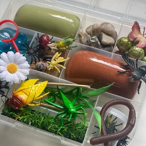 Play Dough Kit, Bugs Play Dough Kit, Insect Kit, Sensory Kit, Insect ...