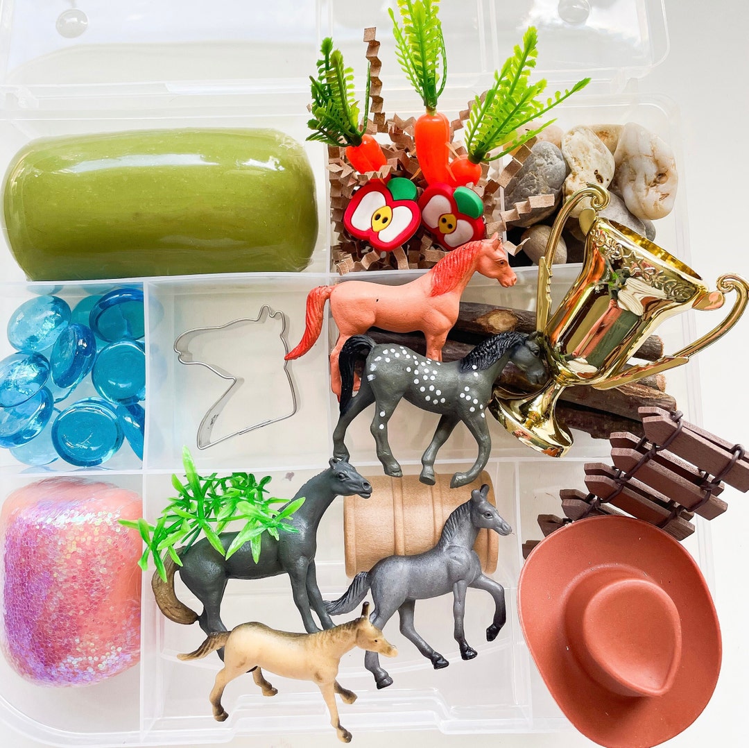 Play Dough Kit, Horse Play Dough Kit, Sensory Kit, Custom Play Dough ...