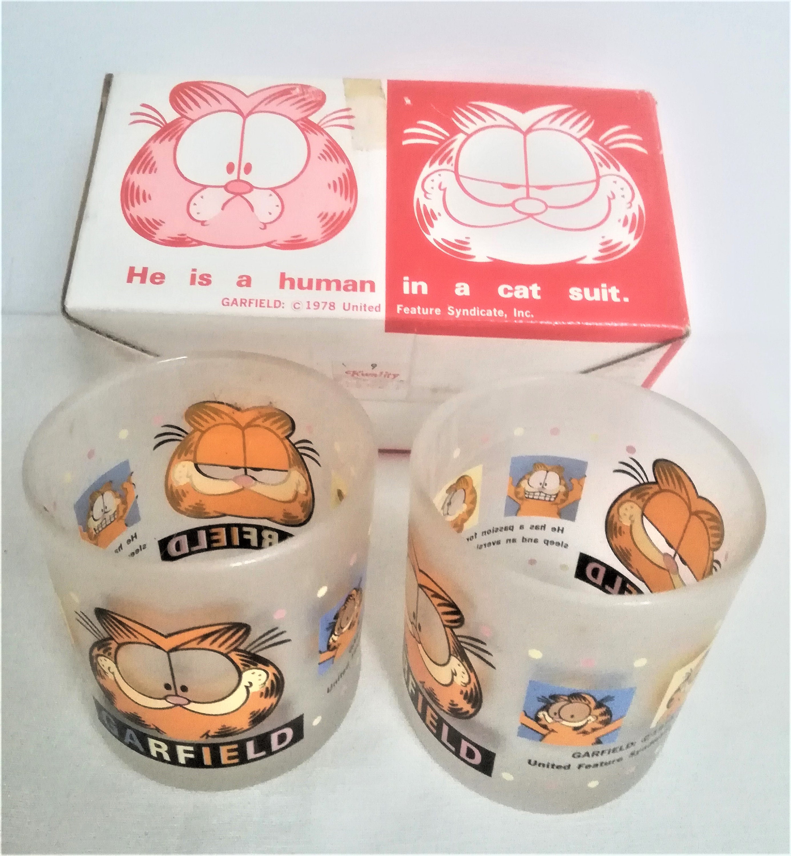 Garfield Glass Set of Two 1978 Vintage United Feature Syndicate Inc ...