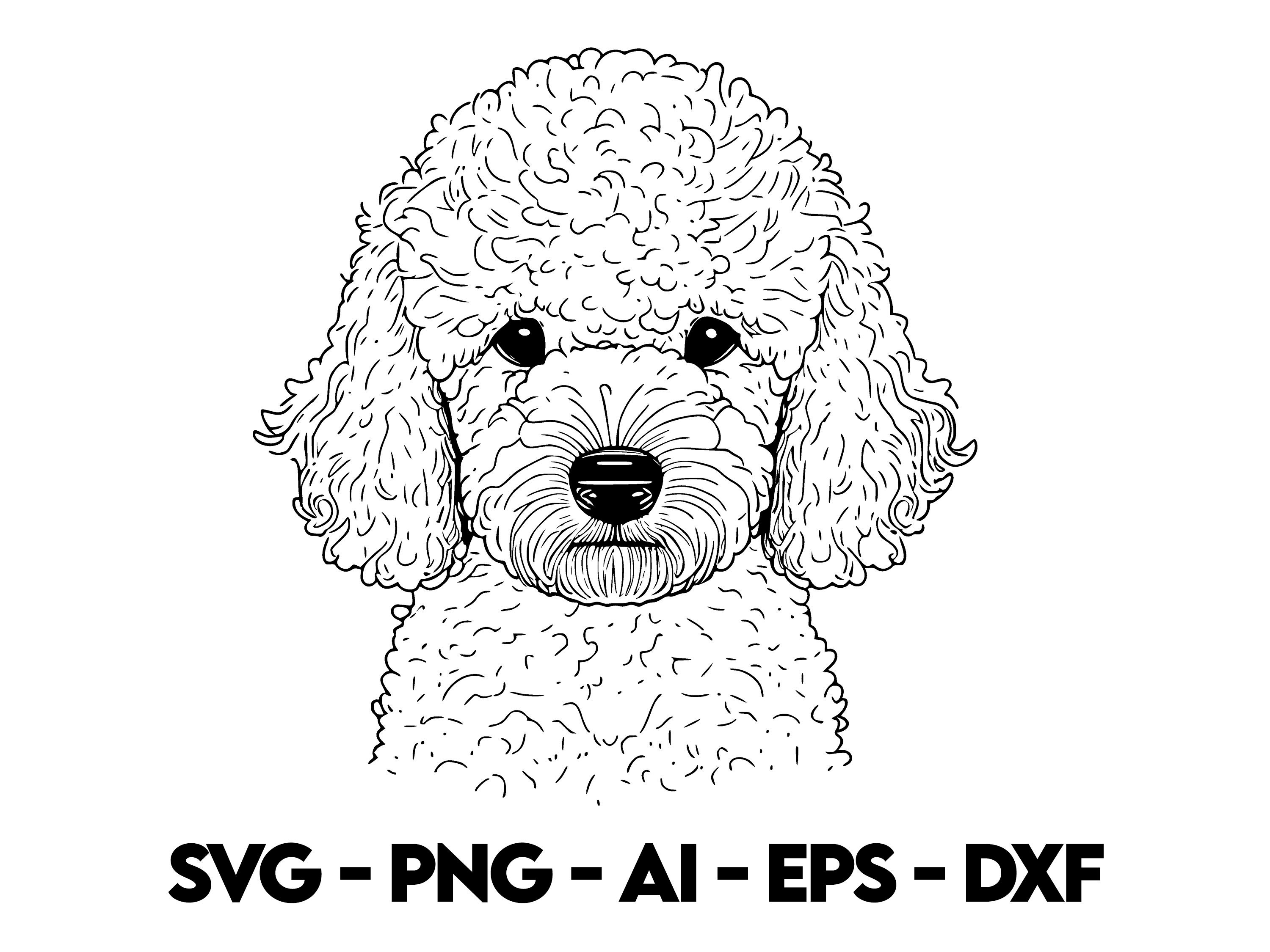 PUDEL SVG PUDEL Clipart Pudel-Svg-Dateien für Cricut - Etsy Österreich