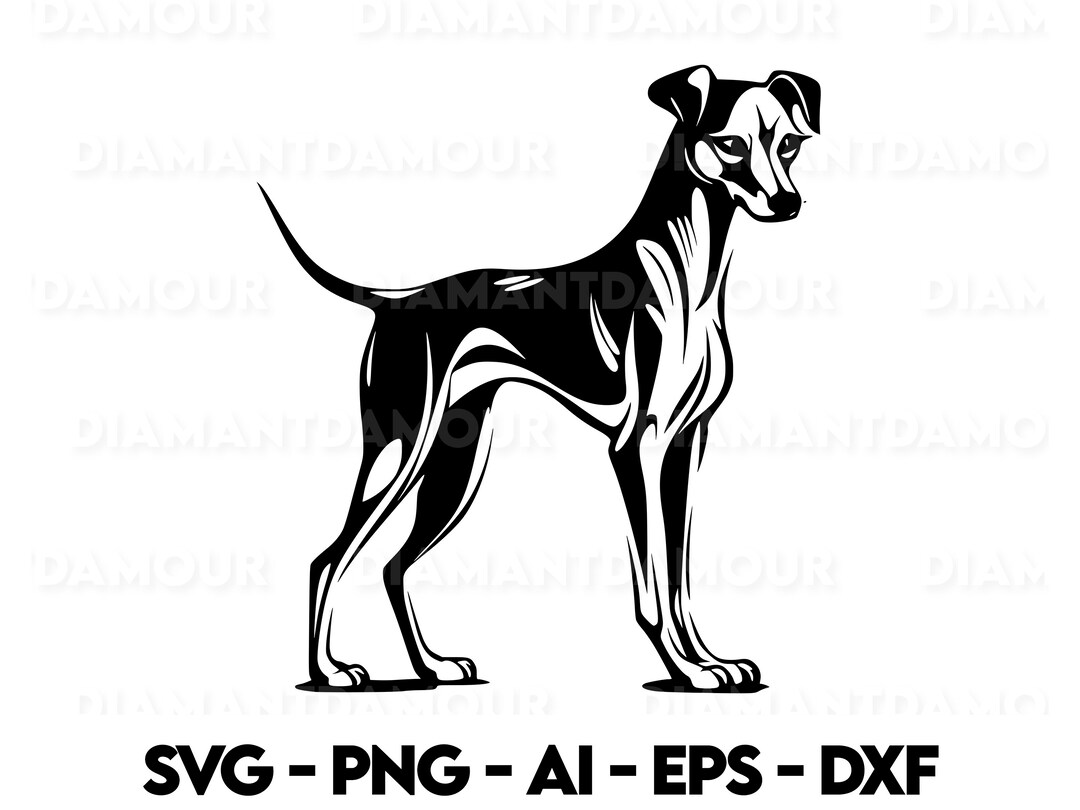 Whippet Svg Dog Svg Whippet Silhouette Whippet Outline Png - Etsy