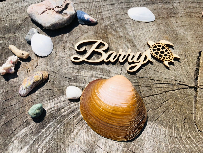Place Cards With Turtle,custom Laser-cut Names,party,decoration,ocean ...