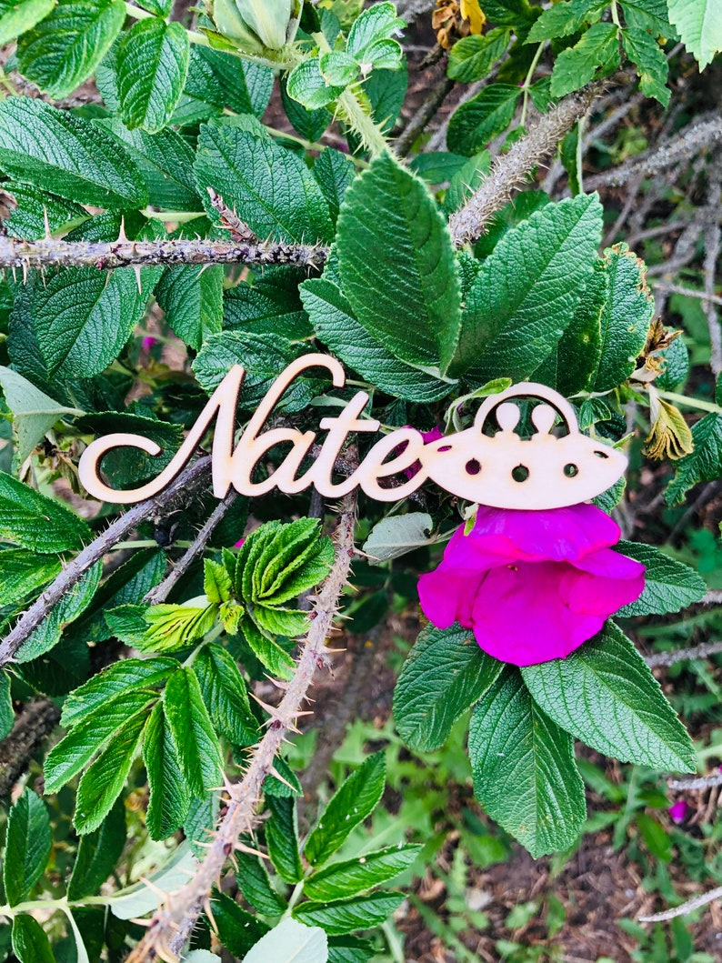 Place Cards With Alien Ship,wedding Place Cards, Custom Laser-cut Names ...
