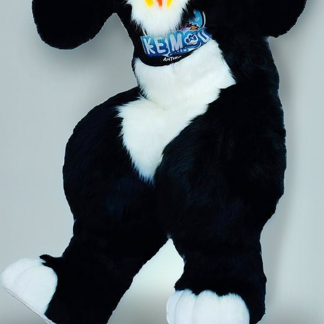 Partail Fursuit, Ready to Ship, Fursuit Head, Paws, Feet, Tail, Pants ...