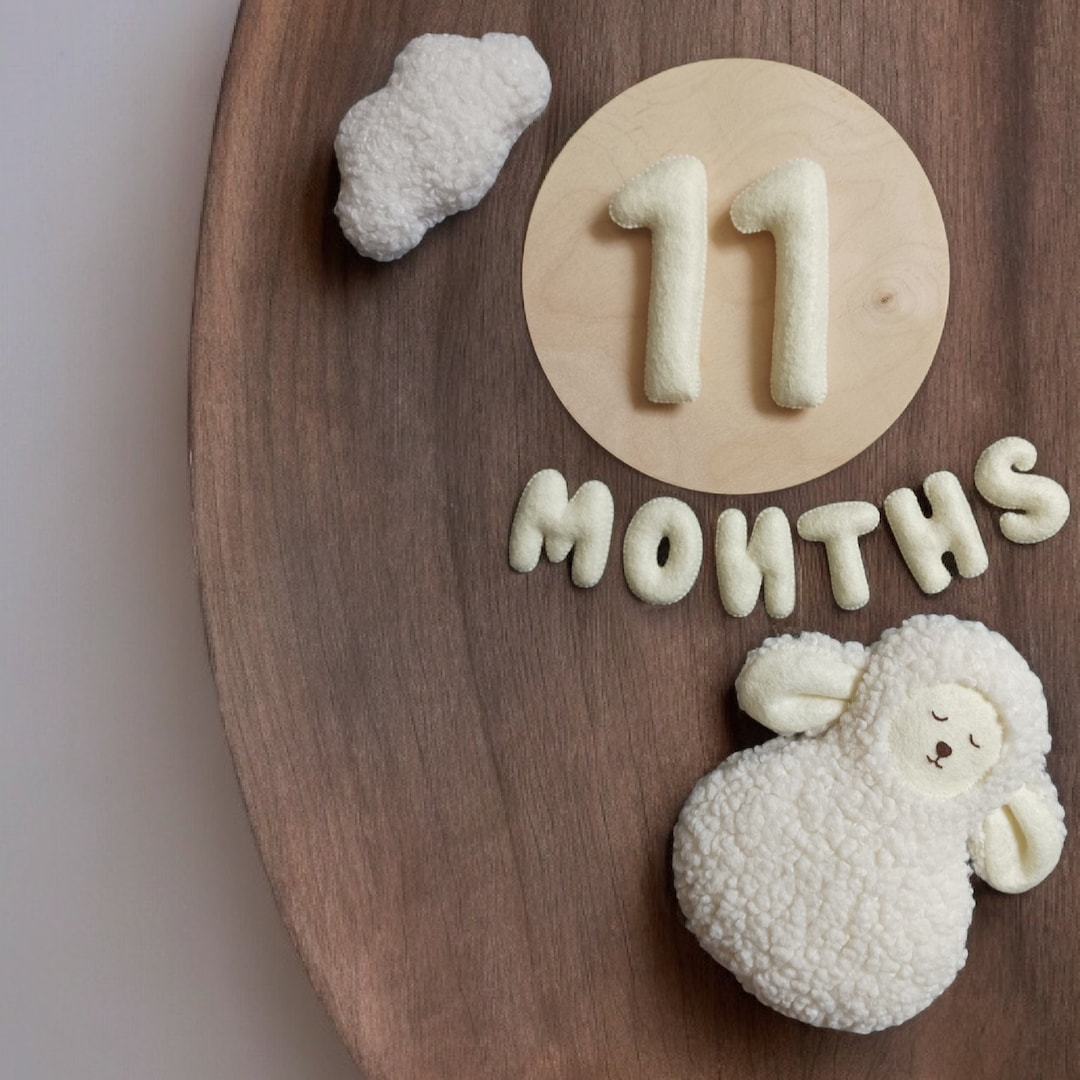 Baby Milestone Numbers Set, Baby Monthly and Weekly Milestone Numbers ...