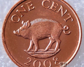 Wild Boar Coin - Etsy