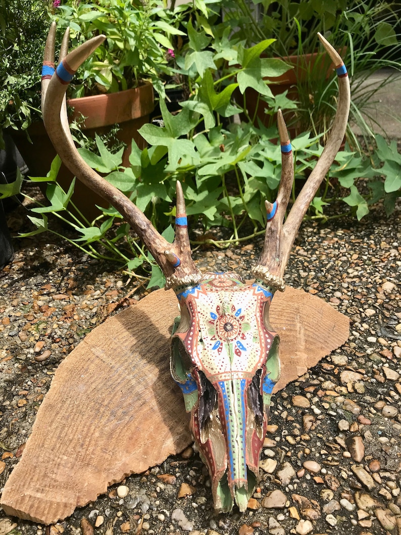 Hand Painted Deer Skull - Etsy