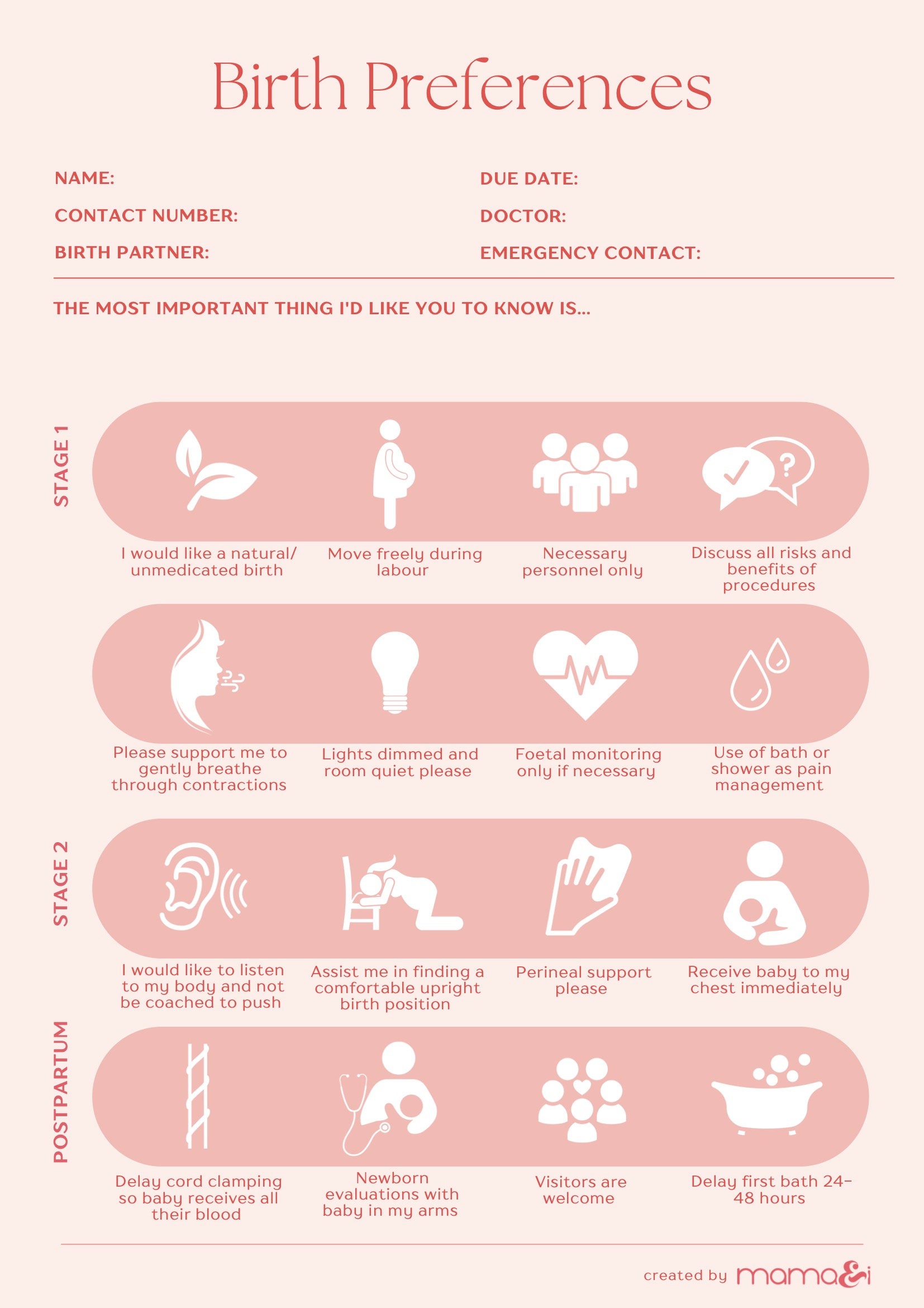 VISUAL BIRTH PLAN Instant Download Easy to Fill Birth Template Natural ...