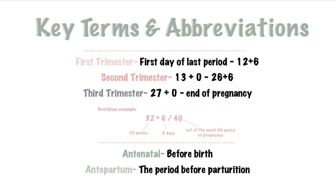 Midwifery Key Terms and Definitions -downloadable PDF Notes - Etsy