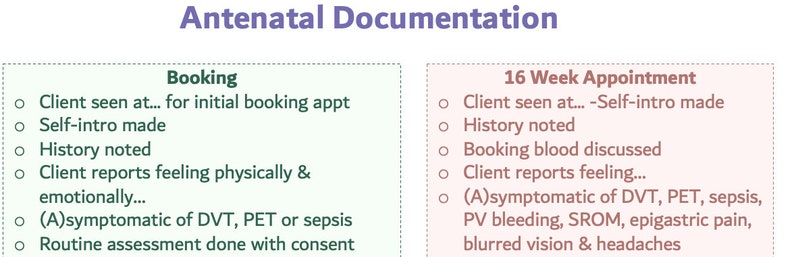 Antenatal Clinical Notes Bundle - Etsy