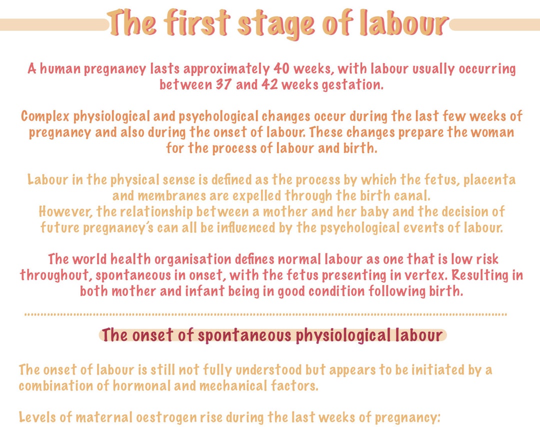 The First Stage of Labour -downloadable PDF Notes - Etsy