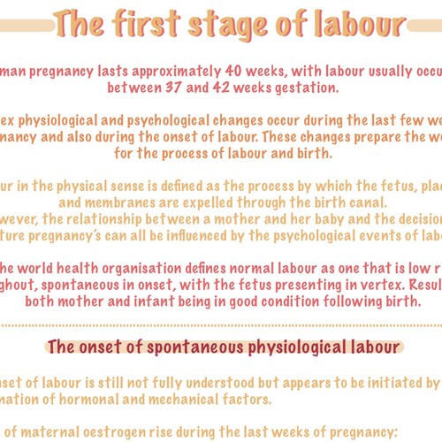 The First Stage of Labour downloadable PDF Notes - Etsy