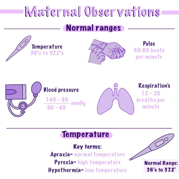 Maternal Observations downloadable PDF Notes - Etsy UK