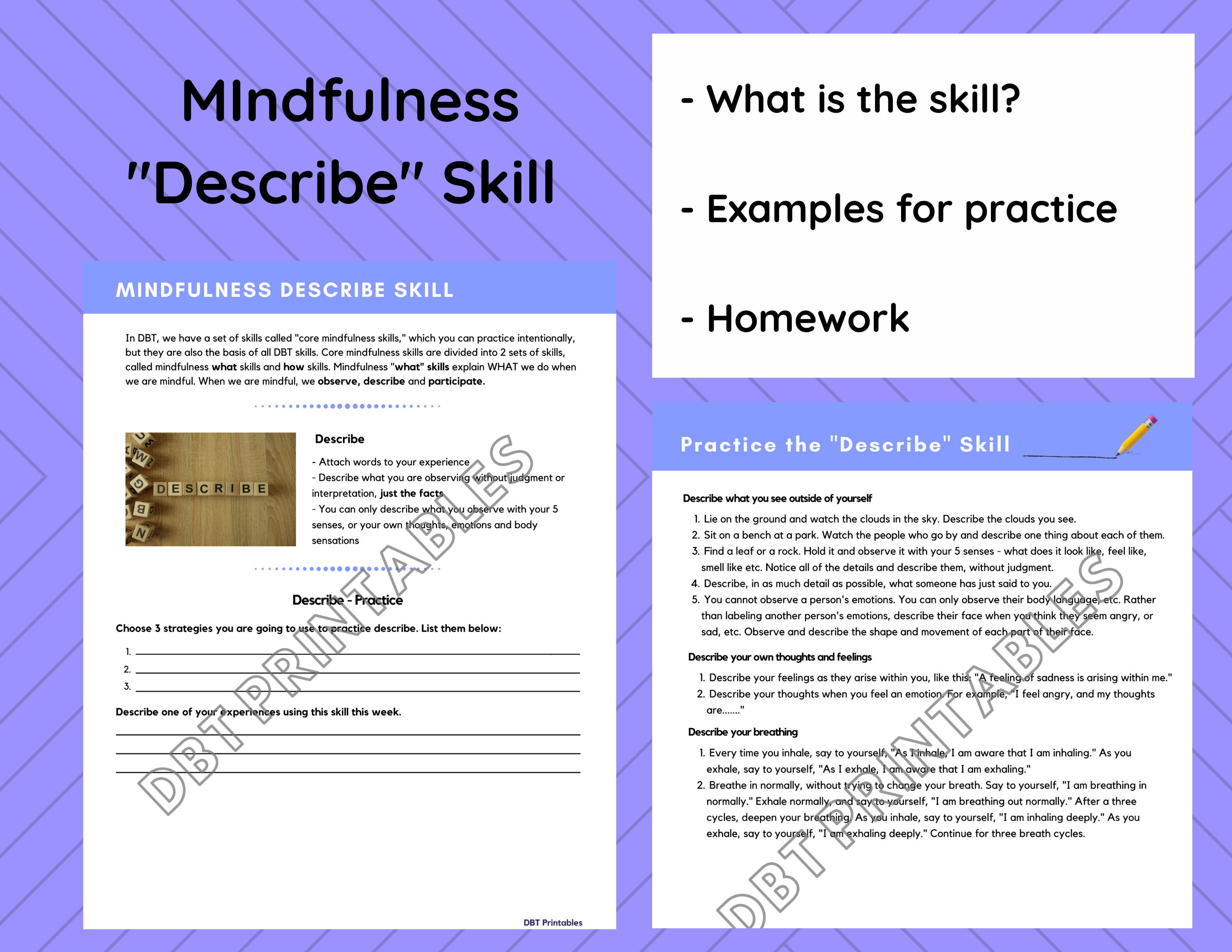 DBT Describe Skill Printable - Etsy