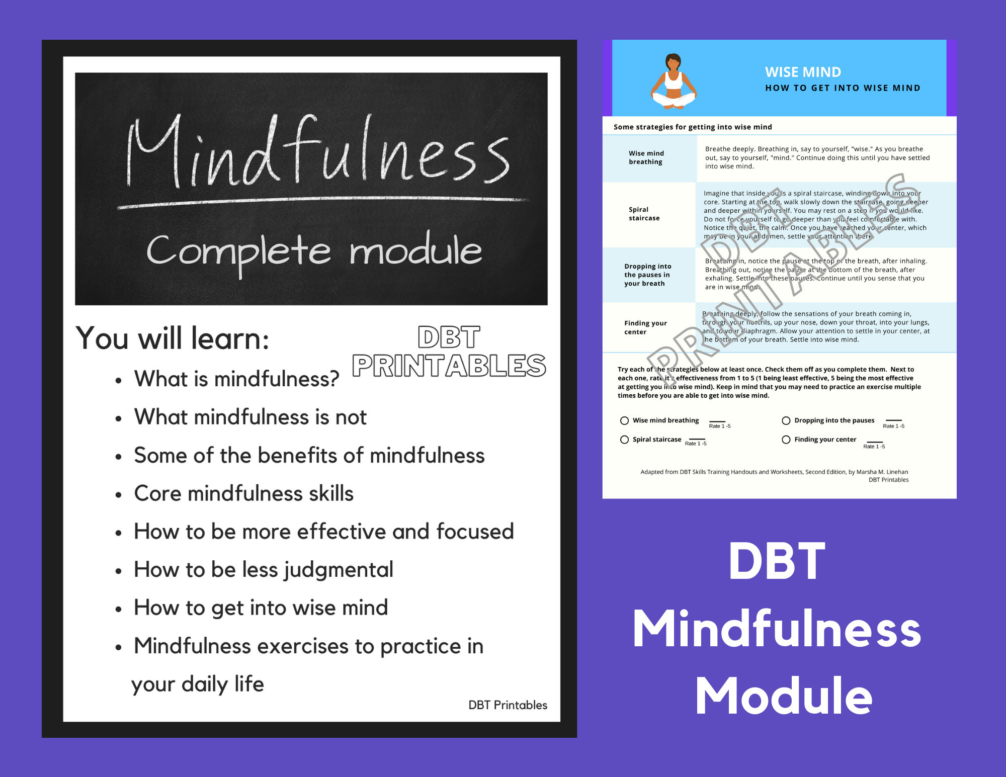 DBT Complete Mindfulness Module - Etsy