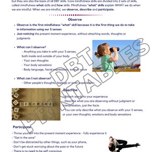 DBT Complete Mindfulness Module - Etsy
