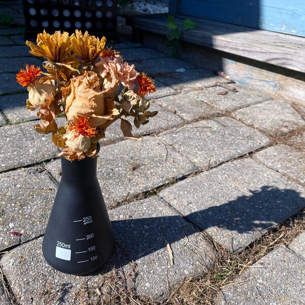 Beaker Vase - Etsy