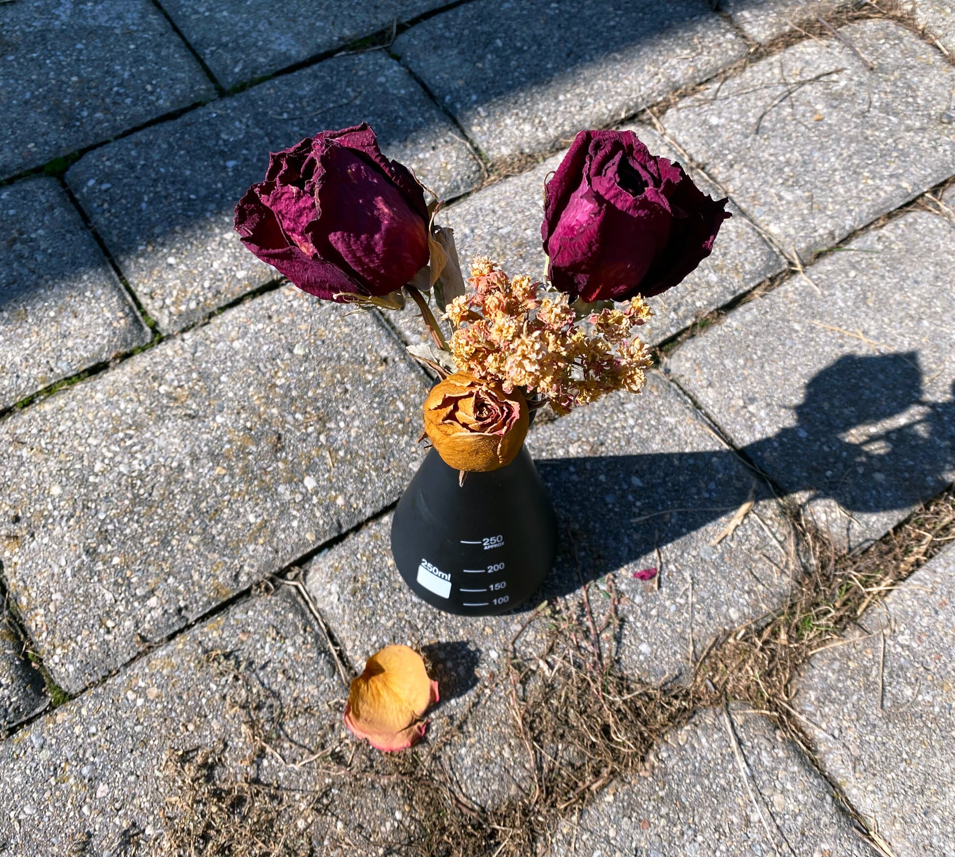 Dark Academia Decor Dried Flowers in Black Beaker Vase - Etsy