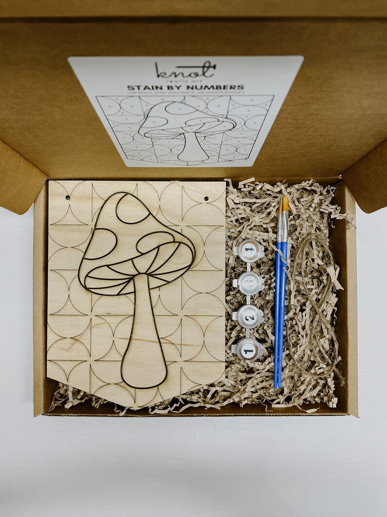 Funky Fungi Stain by Numbers DIY Art Craft Kit Paint Kit Retro Decor ...