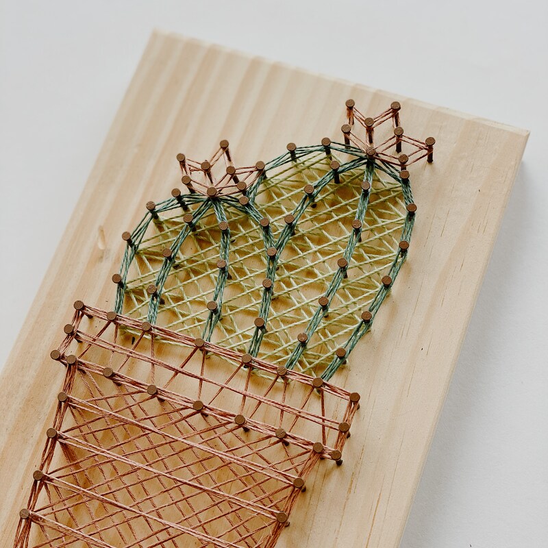 Cactus String Art - Etsy
