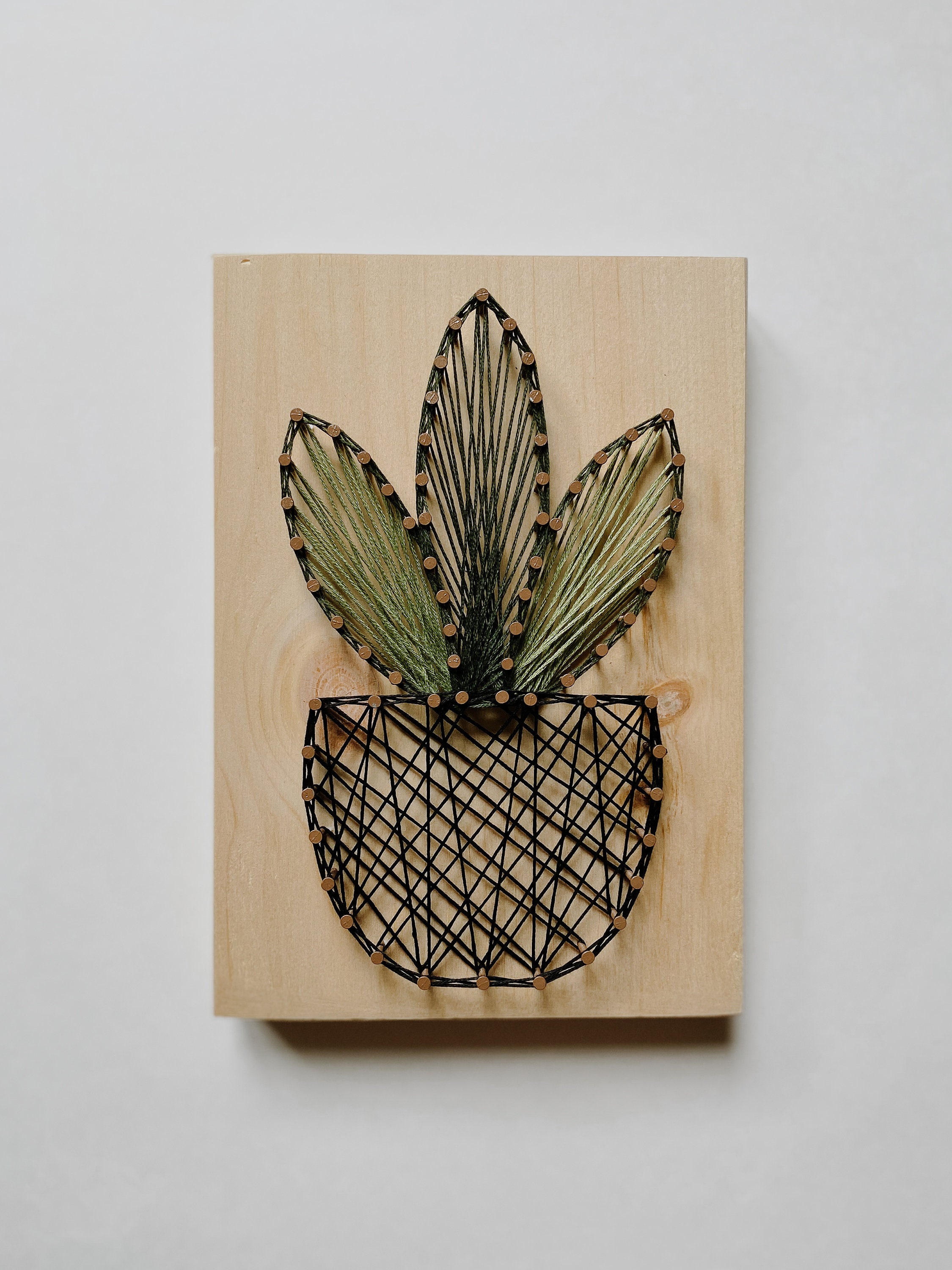 Plant DIY String Art Kit | DIY String Art | Craft Kit | String Art ...