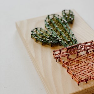 Cactus DIY String Art Kit | Plant Decor | Craft Kit | DIY Project ...