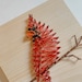 Cardinal DIY String Art Kit | DIY Kit | String Art Kit | DIY Adult ...