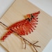 Cardinal DIY String Art Kit | DIY Kit | String Art Kit | DIY Adult ...