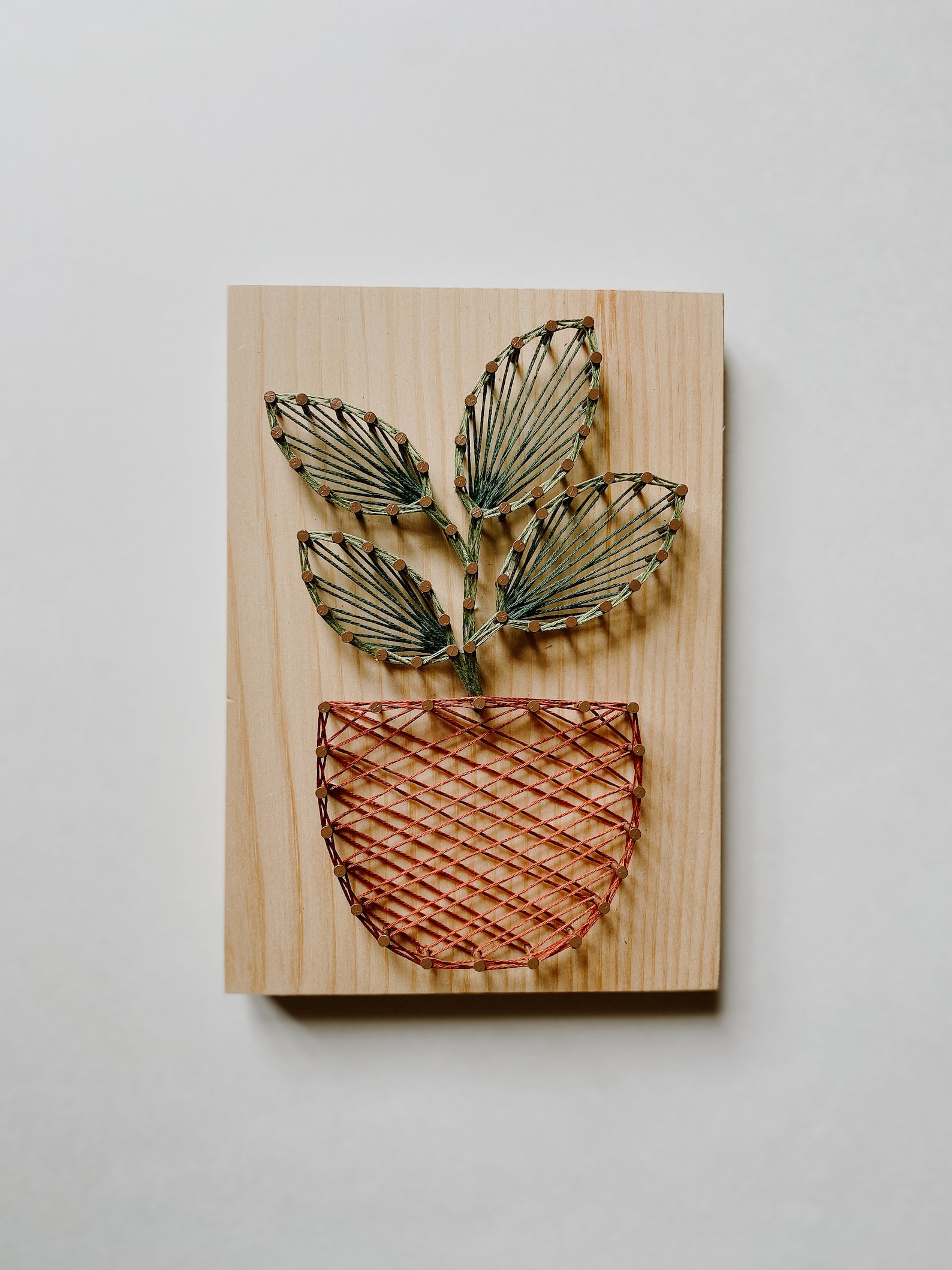 Rubber Plant String Art Template DIY String Art String Art Template ...