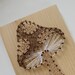 Mushroom DIY String Art Kit | DIY String Art | Craft Kit | String Art ...