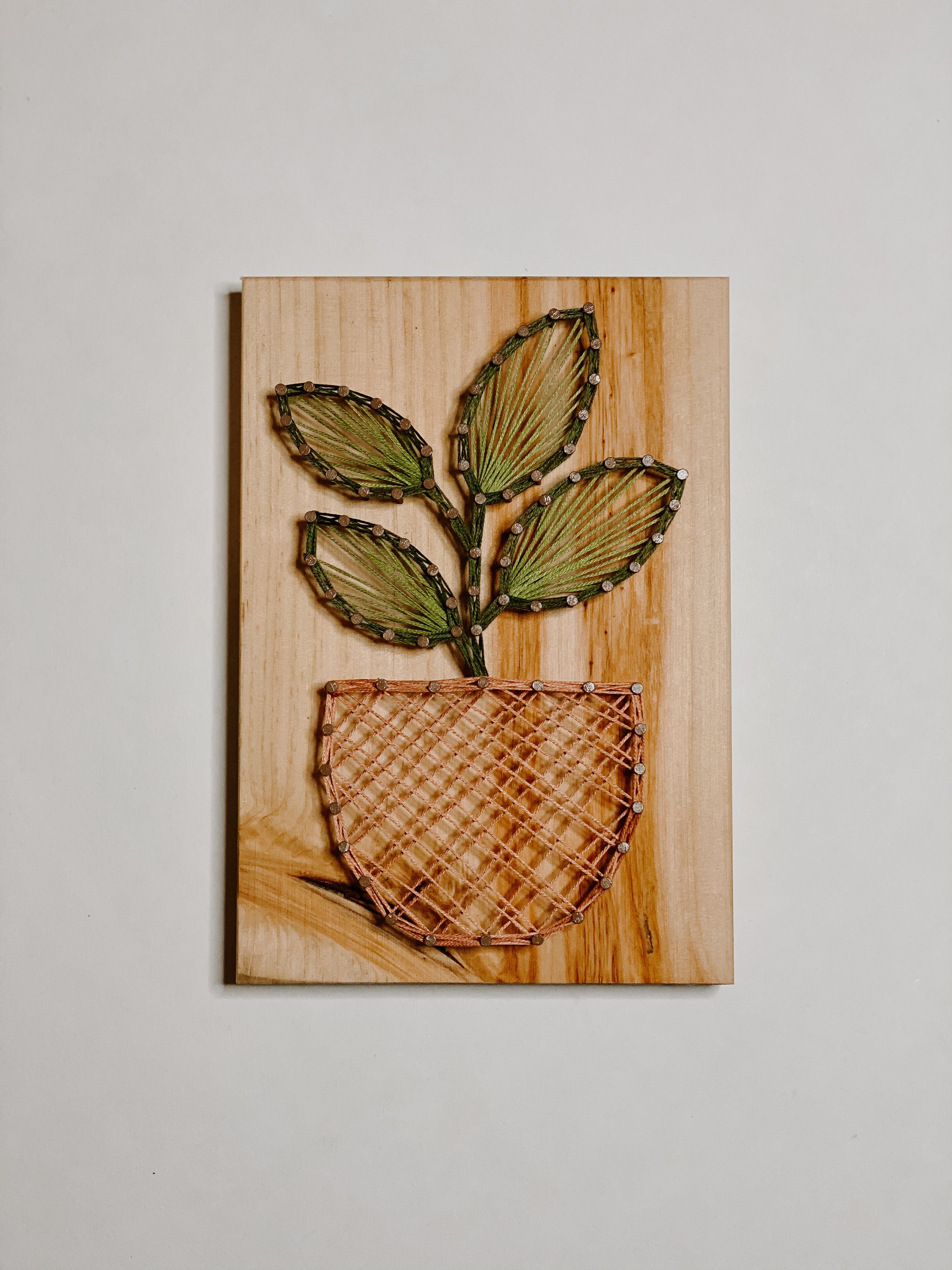 DIY String Art Kit rubber Plant Design Plant Decor Craft - Etsy Canada