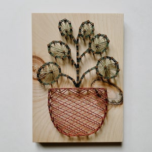 Pilea Plant DIY String Art Kit | Plant Decor | Craft Kit | DIY Project ...