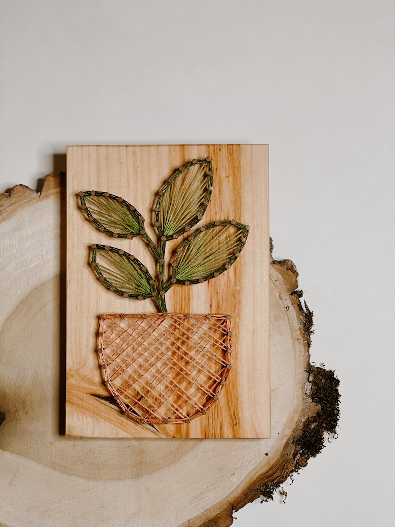 DIY String Art Kit rubber Plant Design Plant Decor Craft - Etsy Canada