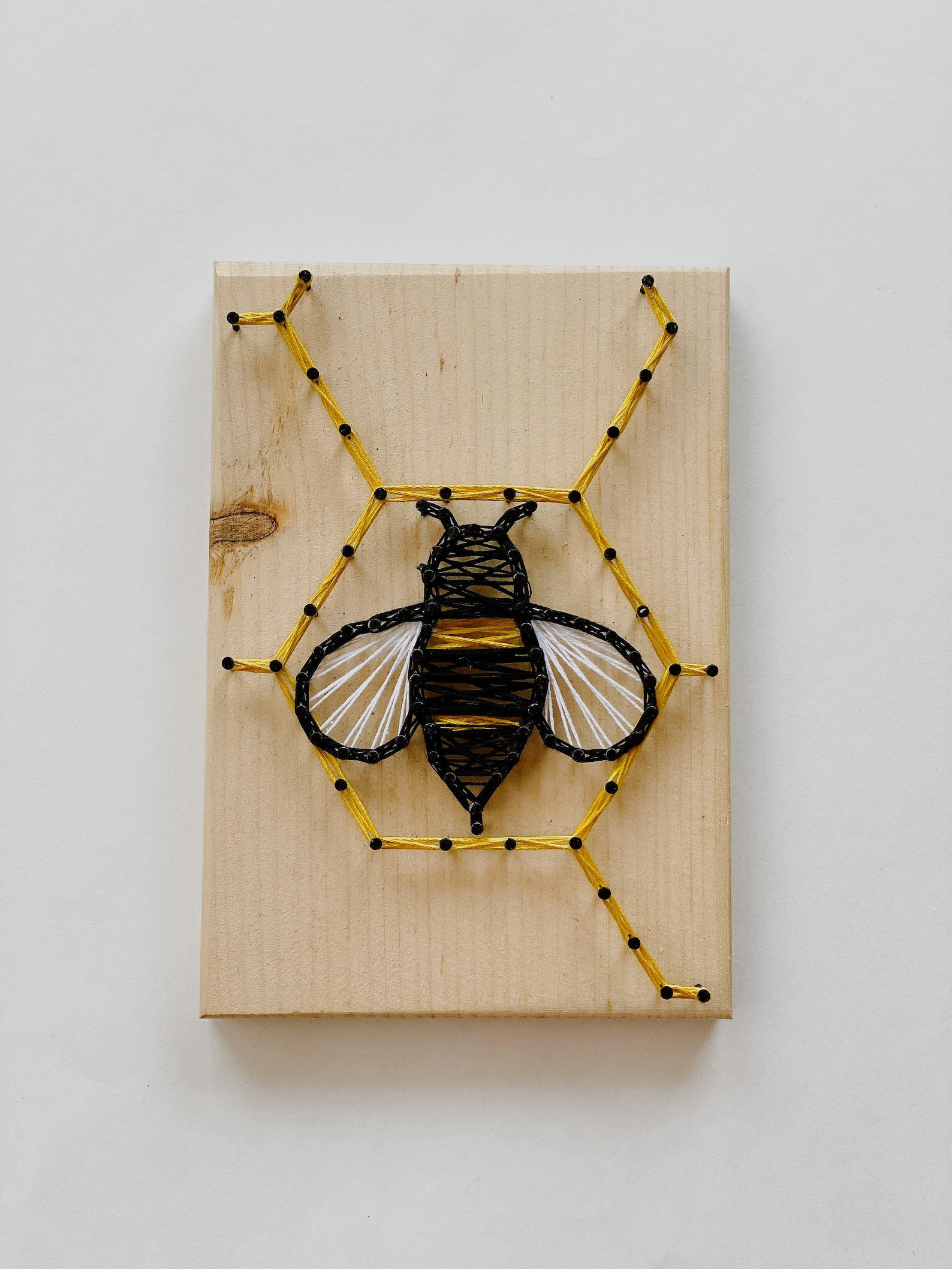Bee DIY String Art Kit Bee Decor Craft Kit DIY Project Bee String Art String Art Gift for Mom ...