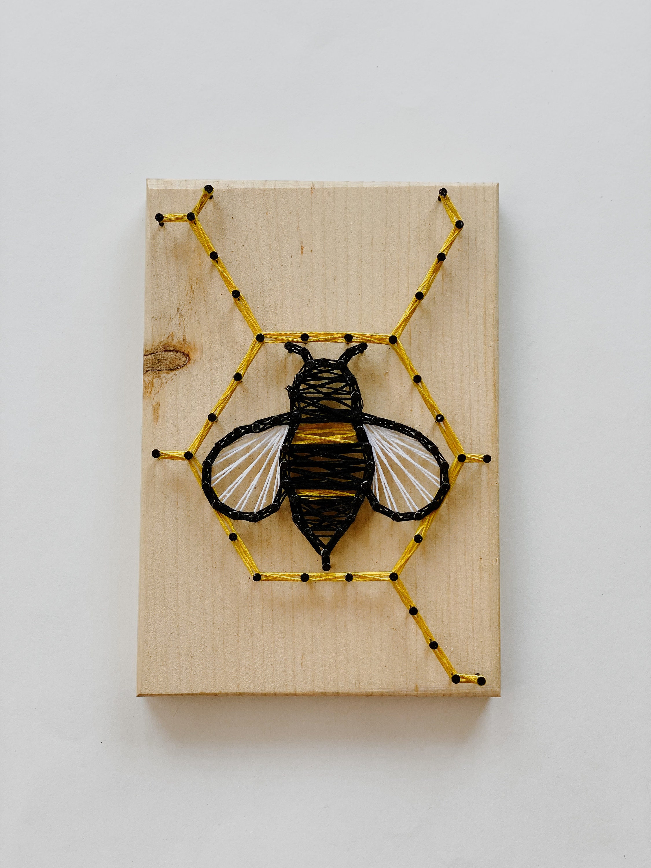 Bee DIY String Art Kit Bee Decor Craft Kit DIY Project Bee String Art ...