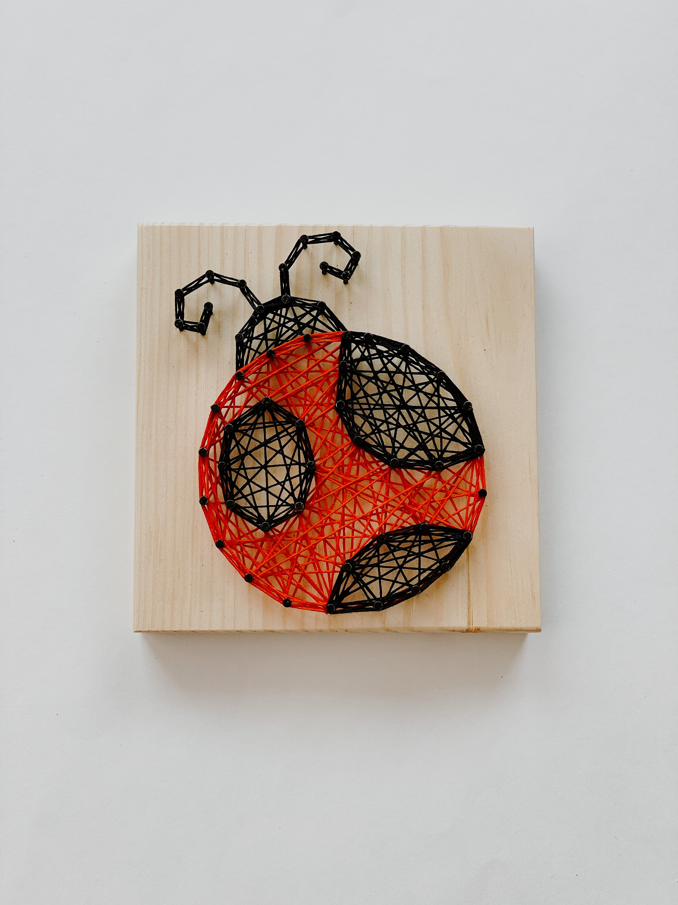 Ladybug DIY String Art Kit | DIY String Art | Kids Crafts | DIY for ...