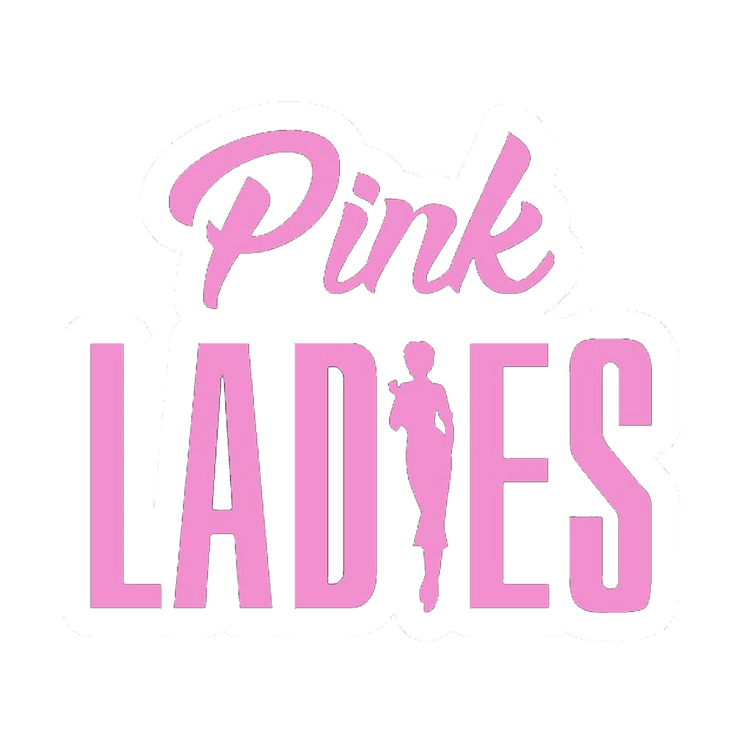 Pink Ladies Iron On - Etsy