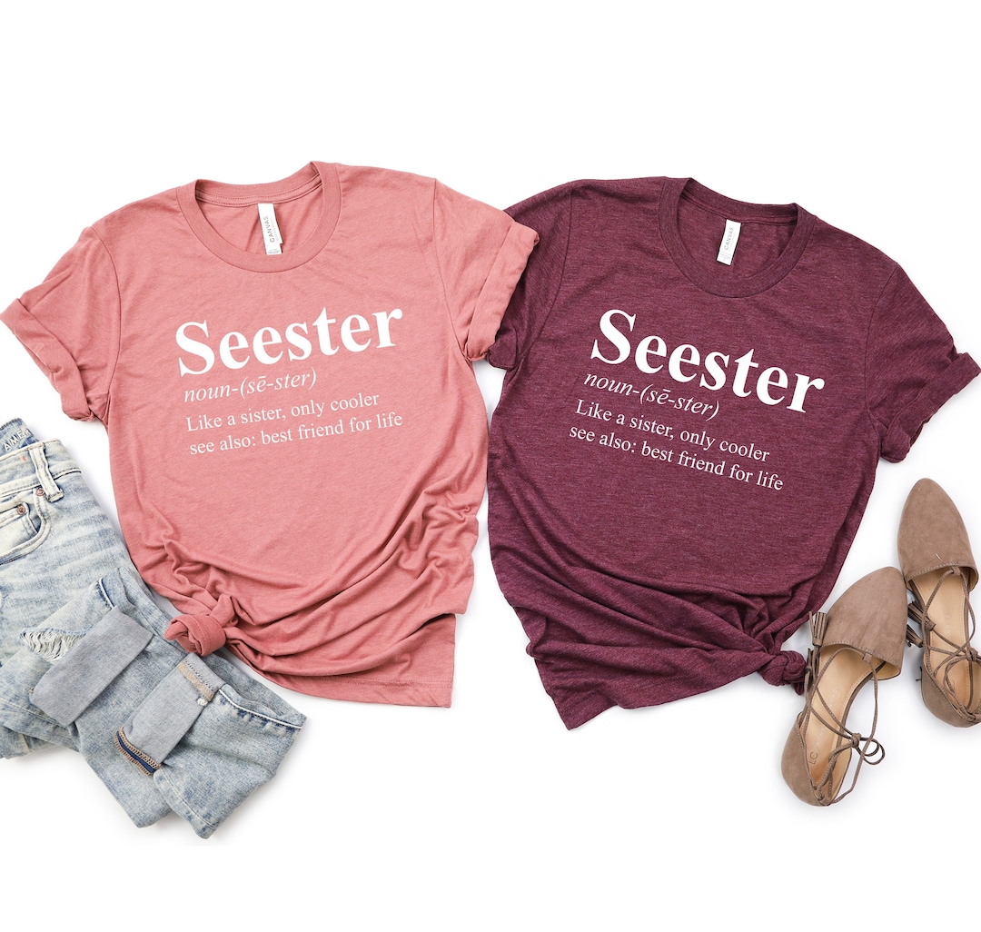Seester Noun Shirt, Seester Definition T-shirt, Best Sister Gift, Gift ...
