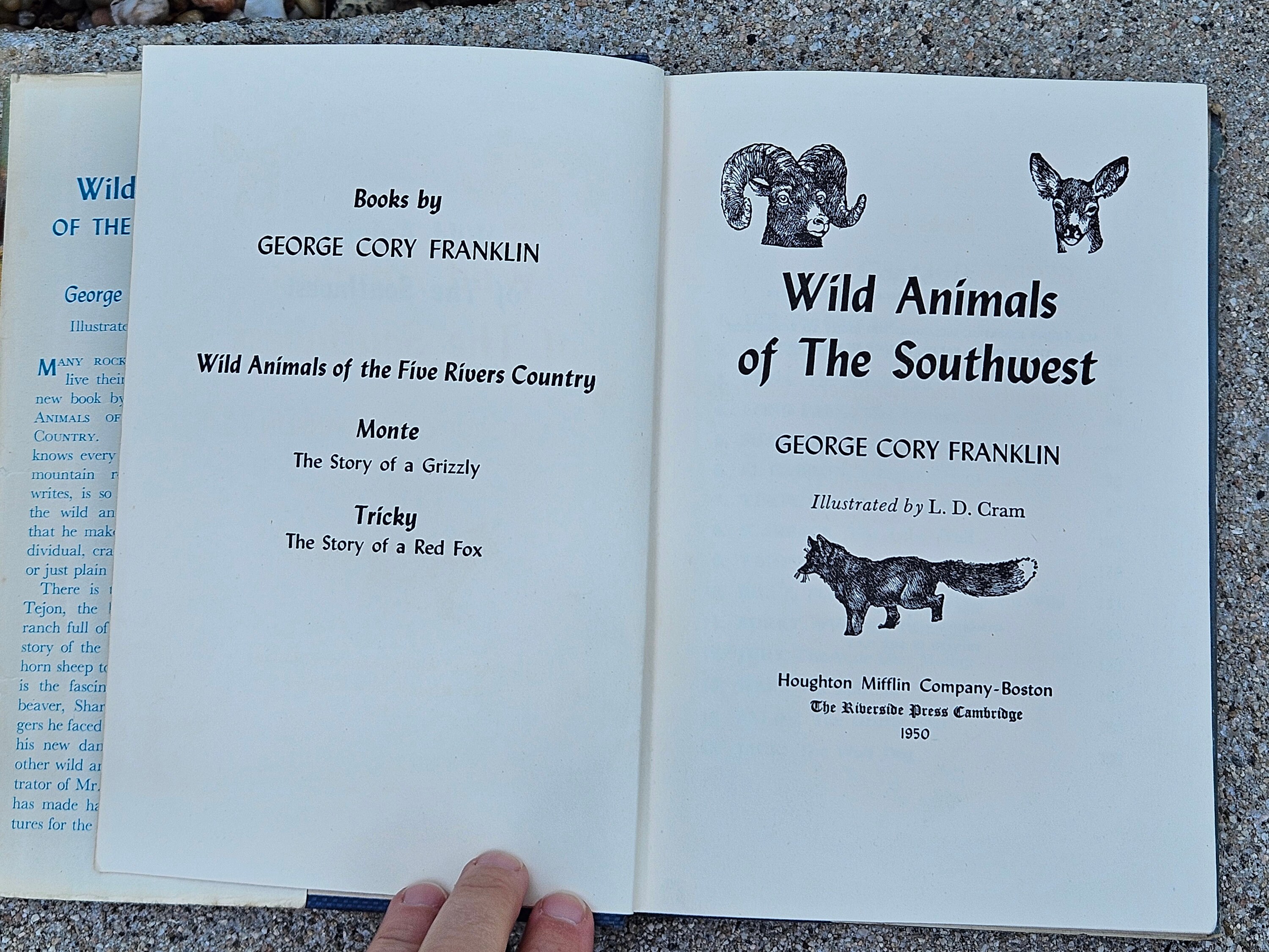 Wild Animals of the Southwest by Cory Franklin, 1950 - Etsy