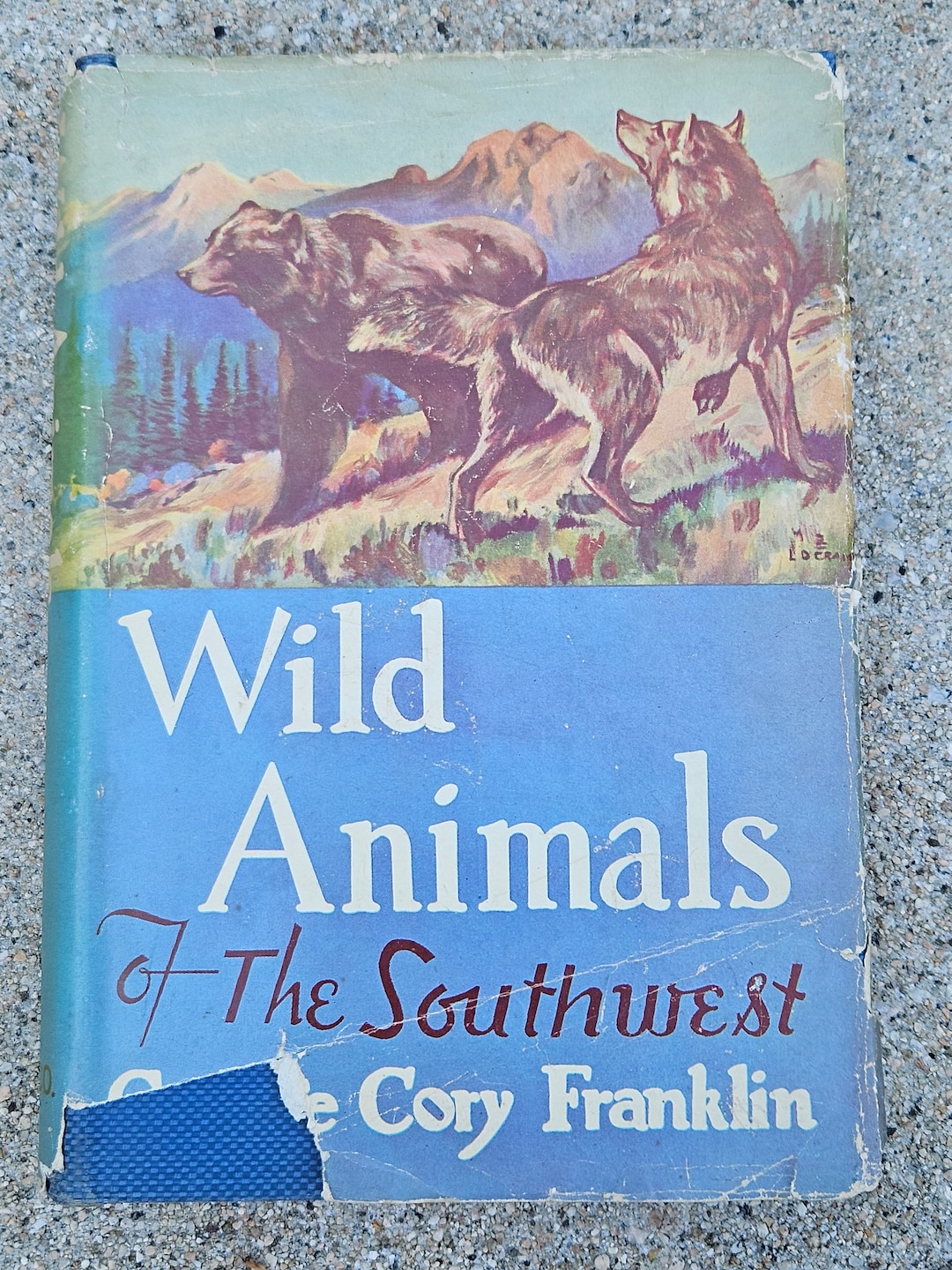 Wild Animals of the Southwest by Cory Franklin, 1950 - Etsy