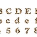 Leopard Print Letters: PNG, JPG Files for DIY (digital Download) - Etsy