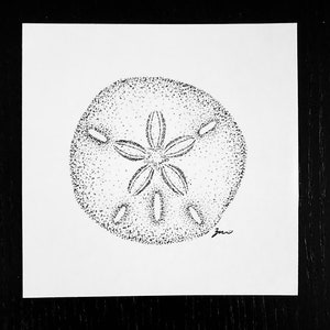 Sand Dollar Art Print - Etsy