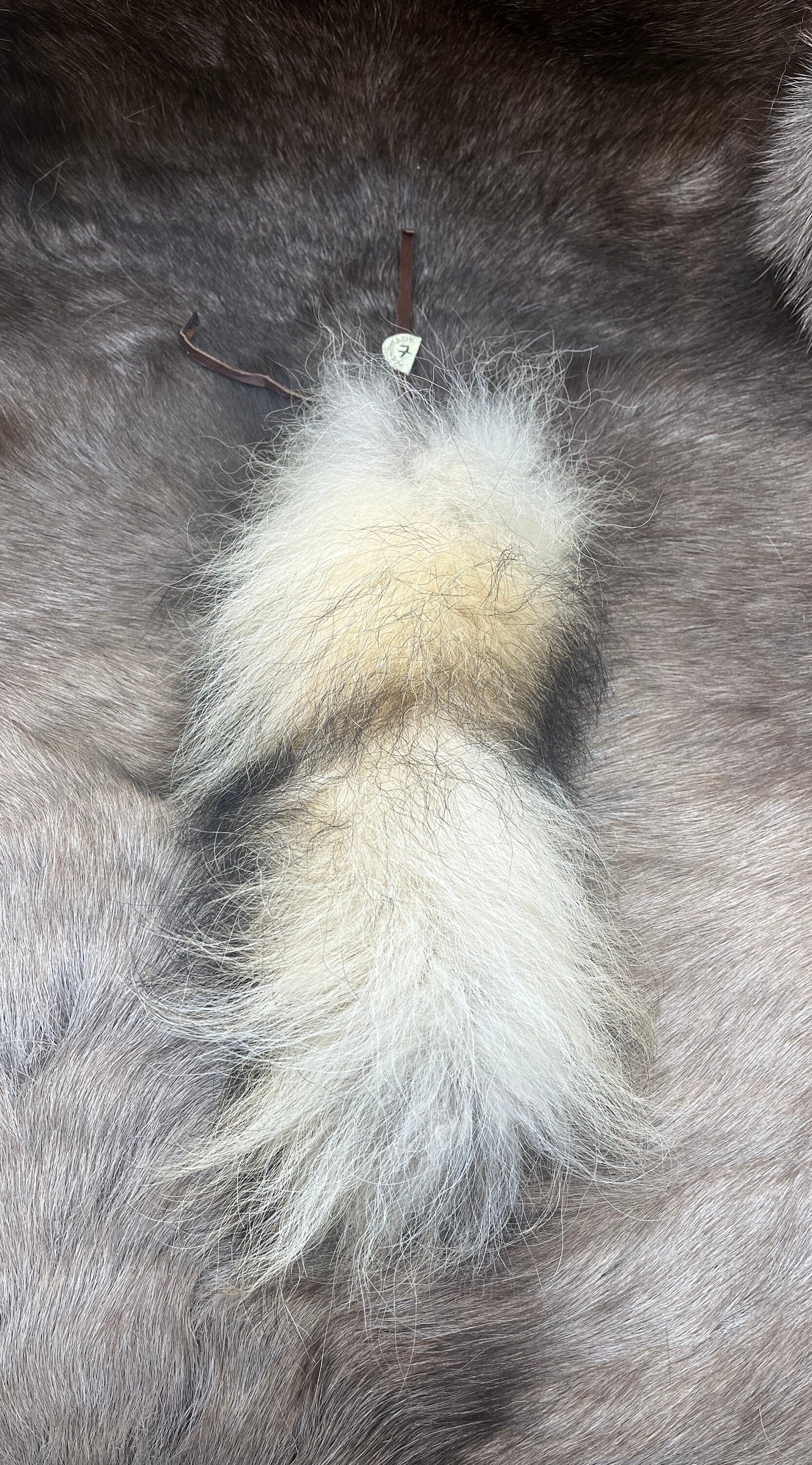 FOX FUR DESIGN Tail | Durable Fur Tail | Natural Fox Tail | Genuine Fur ...