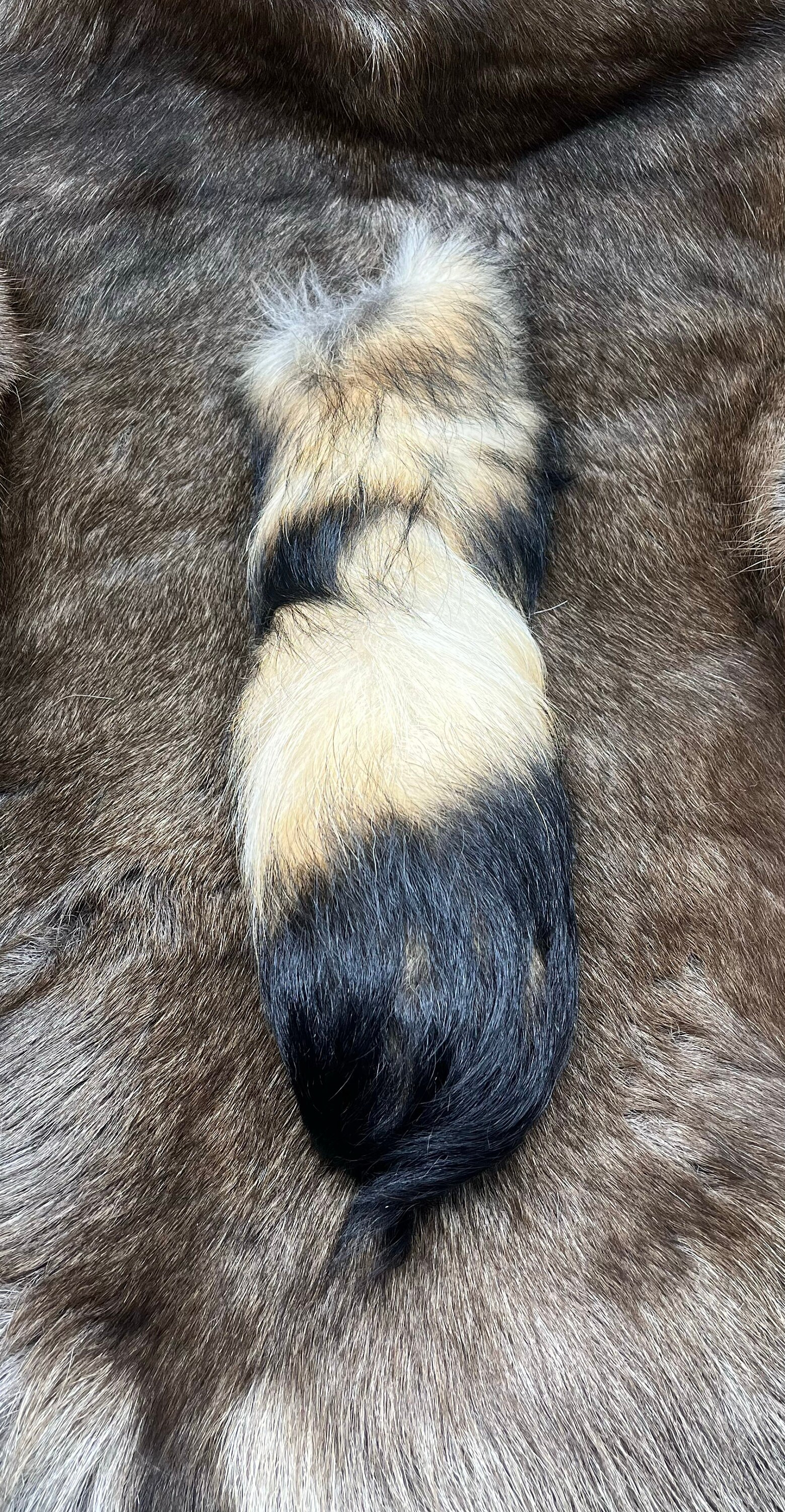 Fox Fur Tails - Etsy Australia