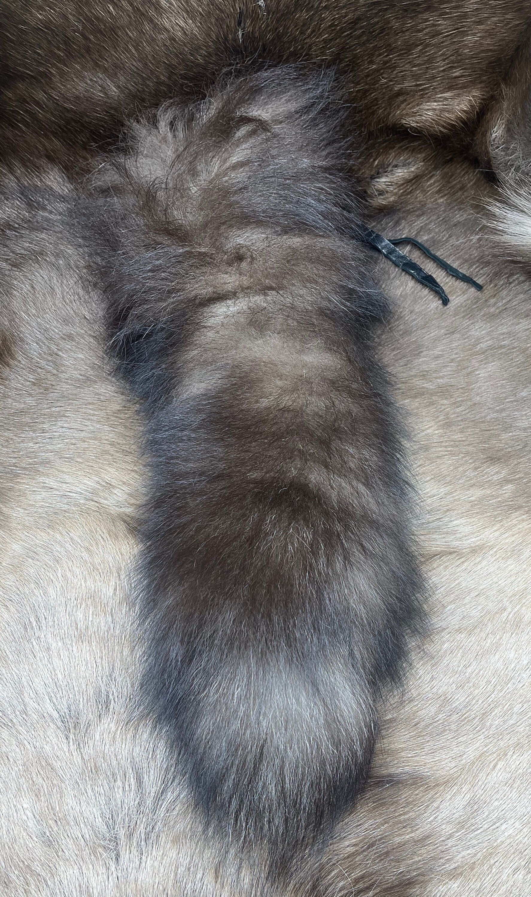 Fox Fur Tail Faux Tail Tails - Etsy Australia